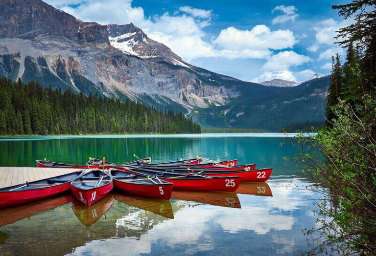 From Vancouver: Rocky Mountains 8-Day Tour - What’s Included and What You Should Know