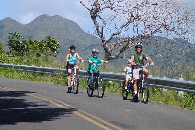 Full Day Oahu Bike, Hike, Sail and Snorkel Combo - What Makes This Tour Stand Out?