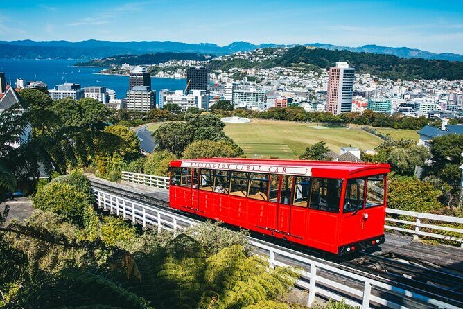 Full Day Wellington Tour - Including maoritanga - What Makes the Itinerary Stand Out