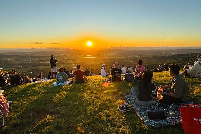 Gold Coast: Glow Worms, Sunset & Stargazing with BBQ dinner - Analyzing the Value