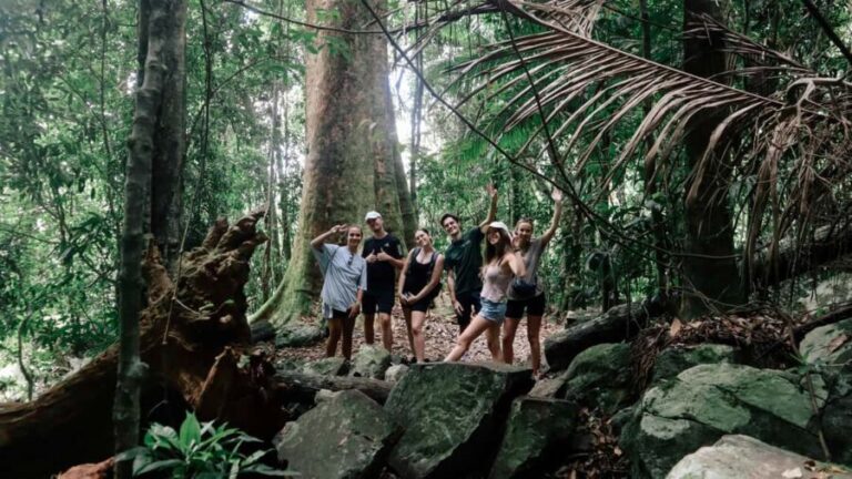 Gold Coast: Springbrook 7 Waterfalls and Natural Bridge Tour - Who Will Enjoy This Tour?