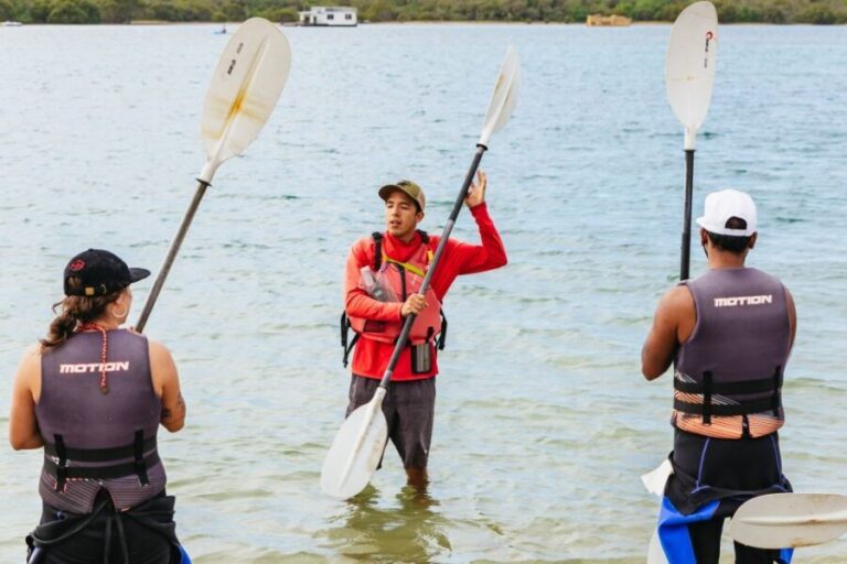Gold Coast: Wave Break Island Kayaking & Snorkeling tour - How the Tour Unfolds: A Step-by-Step Breakdown