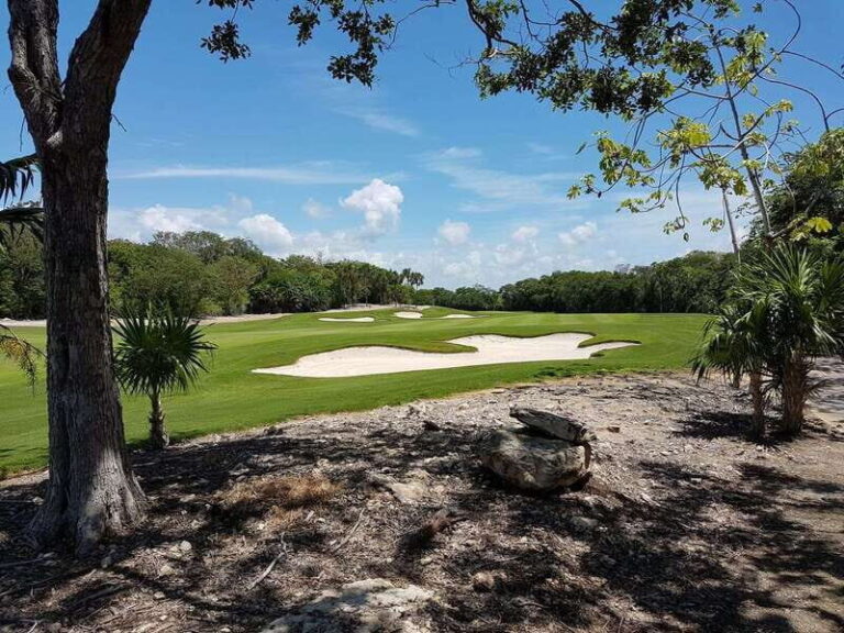 Gran Coyote Golf Course - Who Will Love This Experience?
