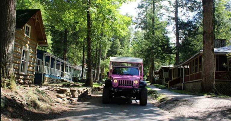 Great Smoky Mountains: Elkmont Historic District Tour - The Sum Up: Why This Tour Might Be a Great Choice