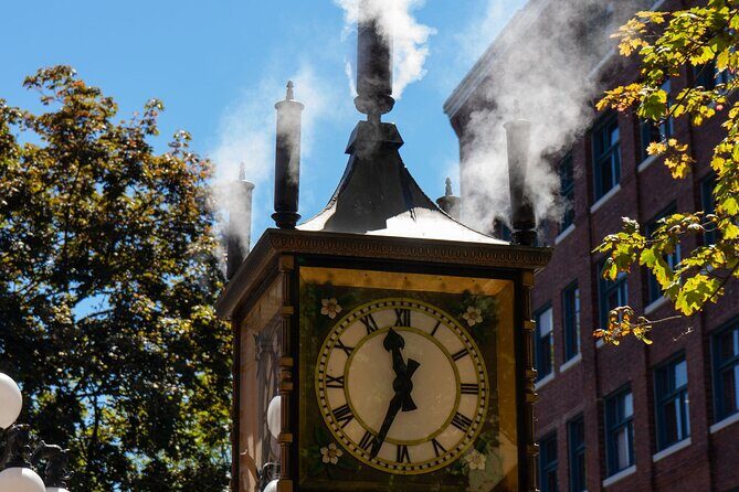 Half-day Vancouver City Tour & Lookout Tower - What Makes This Tour Stand Out?