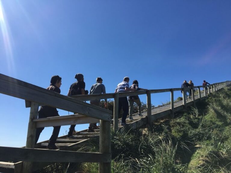 Hobart: Day Trip to Mt Wellington and MONA with Ferry Ride - An In-Depth Look Into the Experience