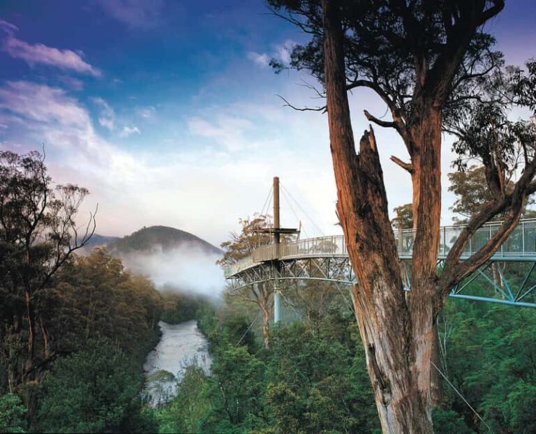 Hobart: Hastings Cave, Tahune Airwalk and Huon Tasting Trail - Pricing and Value