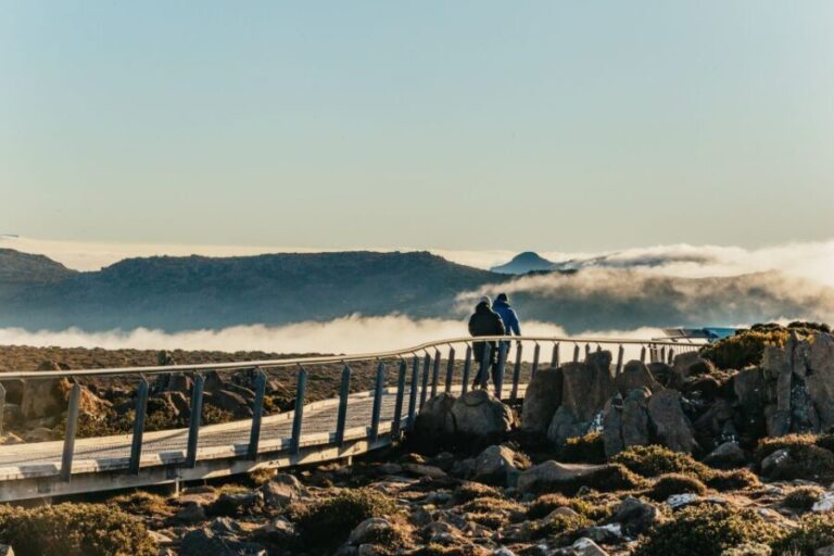 Hobart: Mt Wellington, Mt Field, Bonorong and Richmond Trip - The Experience: Authentic, Engaging, and Educational