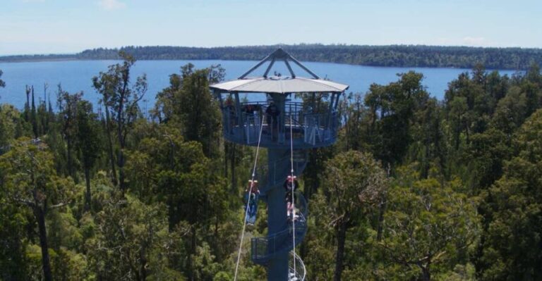 Hokitika: West Coast Tree Top Tower Zip Line and Walk - What Makes This Tour Stand Out