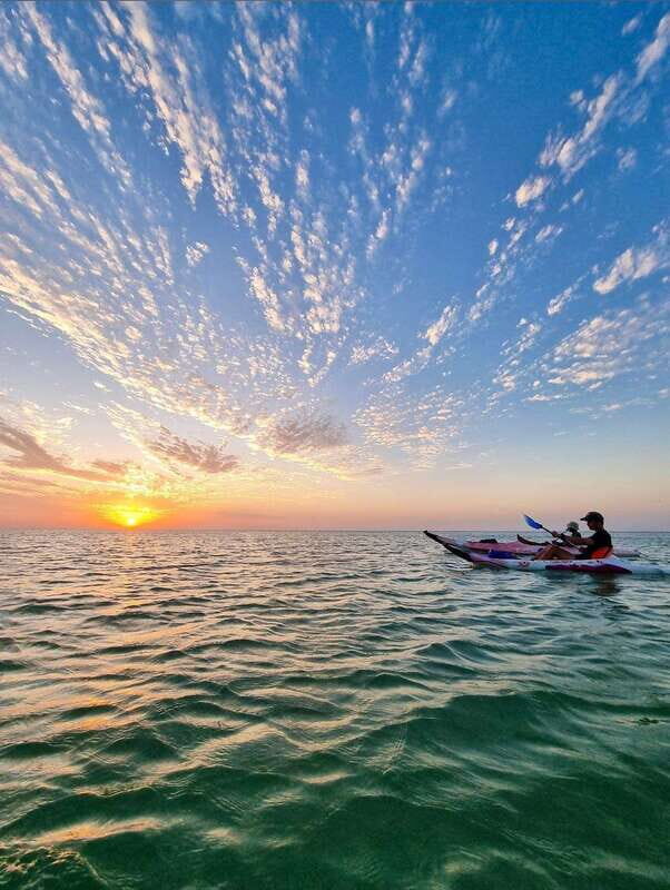 Holbox: Mangrove Sunset Kayak Tour - An In-Depth Look at the Mangrove Sunset Kayak Tour
