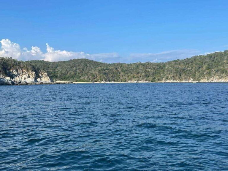 Huatulco: Private Tour Seven Bays HT - Why This Tour Offers Great Value