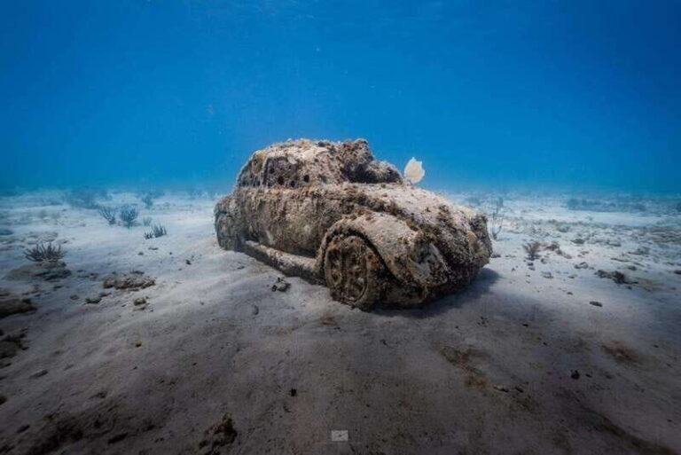 Isla Mujeres: MUSA and the Manchones Reef: 2 Tank Dive Tour - What’s Included and What You’ll Need to Know
