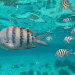 Isla Mujeres Snorkeling Adventure at the Underwater Museum - What Do Travelers Say?
