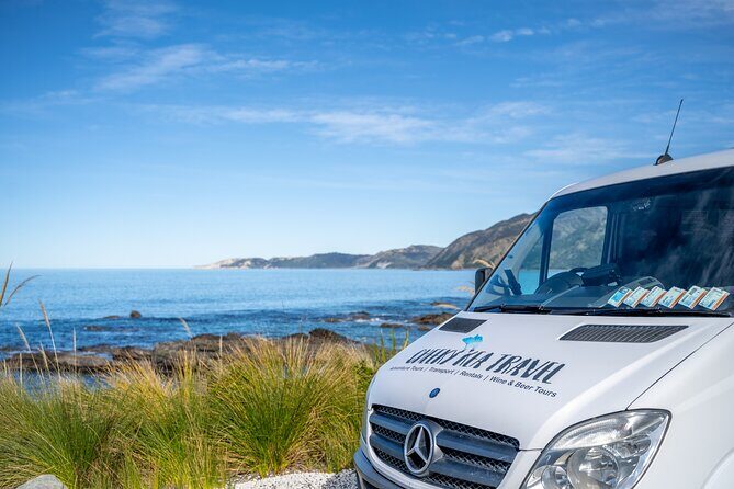 Kaikura Day Tour From Christchurch (Small Group, Carbon Neutral) - Practical Information: What You Should Know