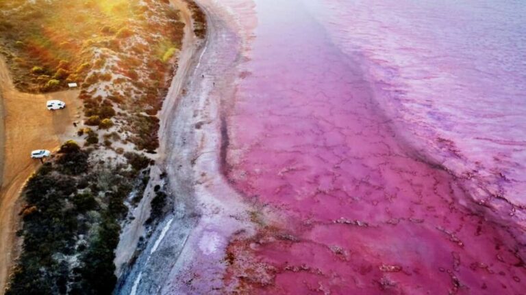 Kalbarri: Pink Lake and Coastal Cliffs Tour - The Practical Side: What’s Included & What to Bring