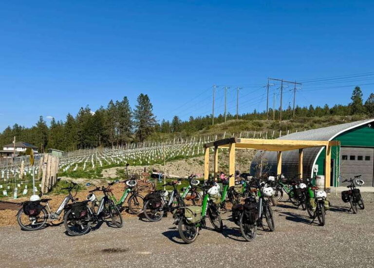Kelowna: Wine Tasting by E-bike, Smartphone Guide & Lunch - How the Tour Works in Practice
