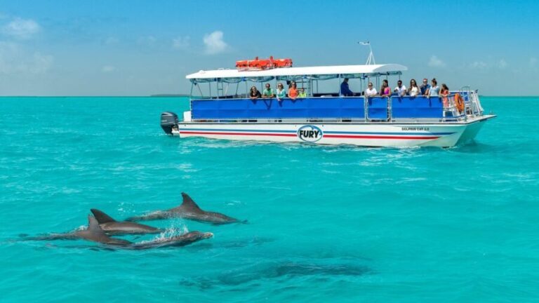 Key West: Dolphin Watching and Snorkeling Eco Cruise Tour - The Value and Unique Aspects