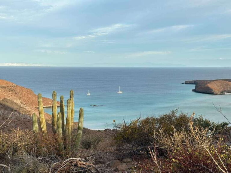 La Paz: Deluxe Yacht Adventure with Paddleboarding - Paddleboarding and Water Fun