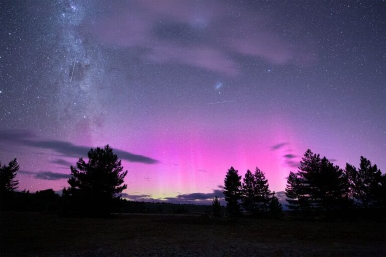 Lake Tekapo: Stargazing Experience - What Makes This Tour Unique? A Deep Dive