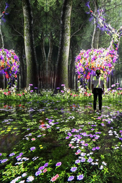 Las Vegas: Arte Museum Las Vegas Immersive Art Exhibition - Key Points