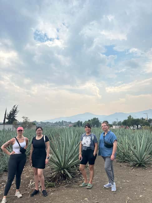 Let's eat at the Tlacolula Market on Sunday and drink Mezcal. - The Sum Up