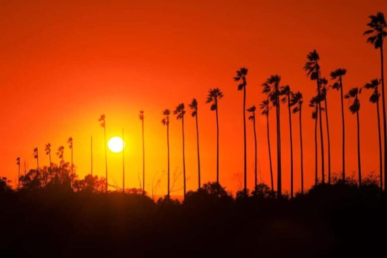Los Angeles: 7-Hours City & Beach Tour With Hotel Pick Up - Practicalities and What to Expect