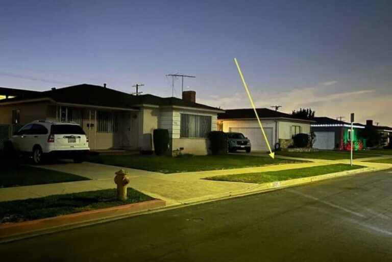 Los Angeles: Black Dahlia Hollywood Horror Limo Tour - Inside the Limousine Experience