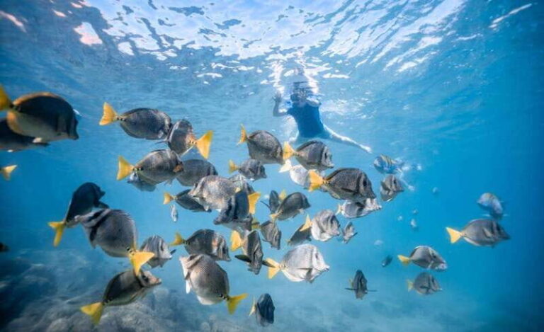 Los Cabos: Glass Bottom Kayak and Snorkel Tour at the Arch - Snorkeling in Emerald Waters