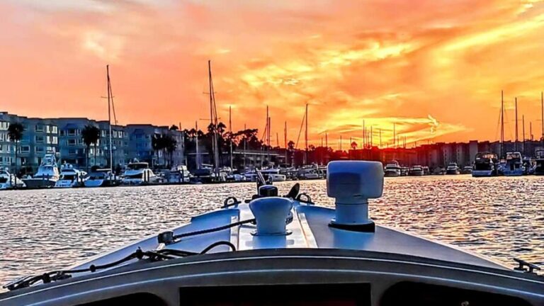 Marina Del Rey Luxury Boat Cruise Wine, Charcuterie Sealions - Why This Cruise Is a Great Choice