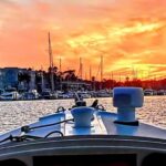 Marina Del Rey: Romantic Cruise, Wine, Cheese, Sealions - The Captain and the Guide