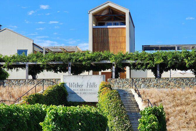 Marlborough Private Classic Wine Tour - Why You’ll Appreciate This Tour