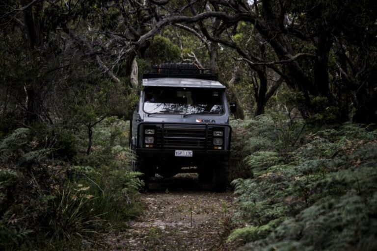 Melbourne: French and Phillip Island Wildlife Expedition - Transportation, Timing, and Group Size