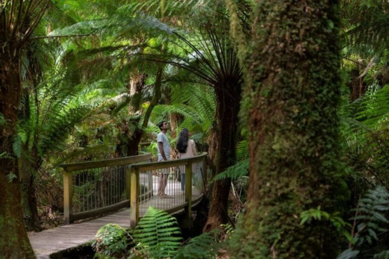 Melbourne: Great Ocean Road & Rainforest Trip - Why Travelers Love It