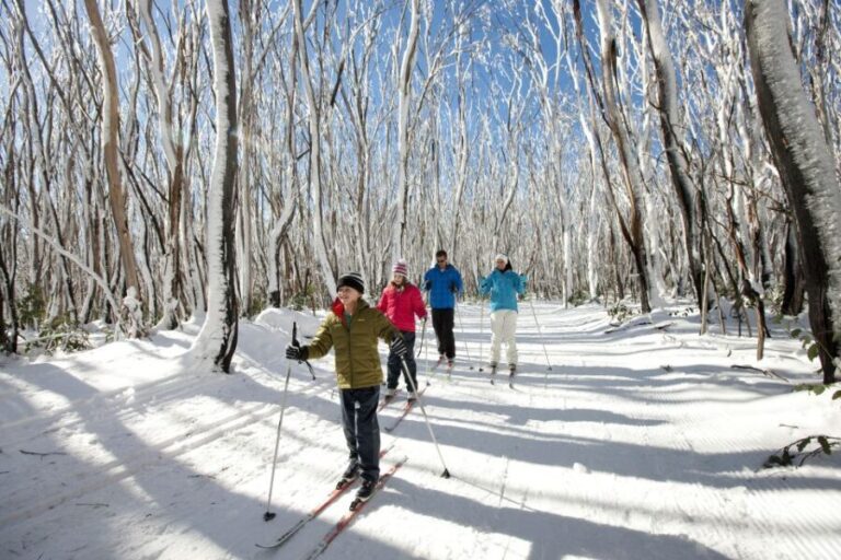 Melbourne: Lake Mountain Snow Guided Tour - The Arrival at Lake Mountain: Preparing for Snow Play