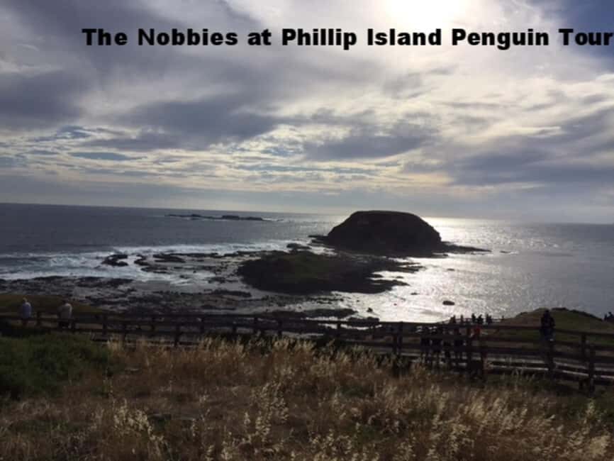 Melbourne: Private Phillip Island Penguin Parade Tour