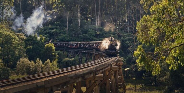 Melbourne: Puffing Billy Train & Healesville & Winery Tour - What to Expect from Each Part of the Tour