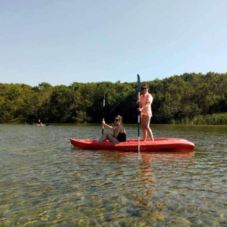 Merida: Kayaking and Bird Sanctuary in Sisal - Practical Details: What You Need to Know
