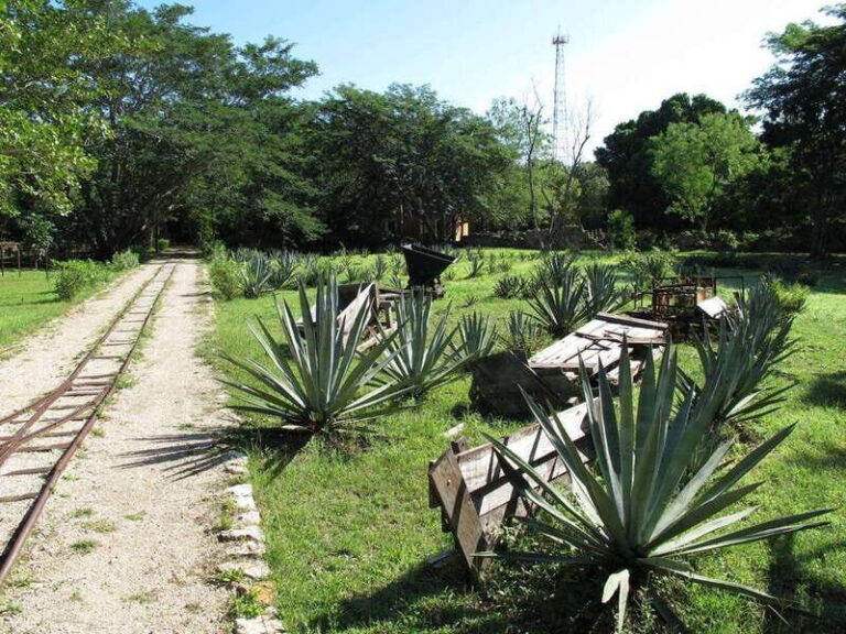 Merida: Yucatan Cenotes and Hacienda Full-Day Trip with Food - Why This Tour Offers Great Value