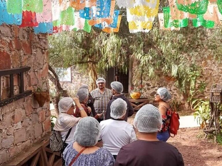 Mexico City: Private Cheese and Wine Tour to Queretaro - What Makes This Tour Special