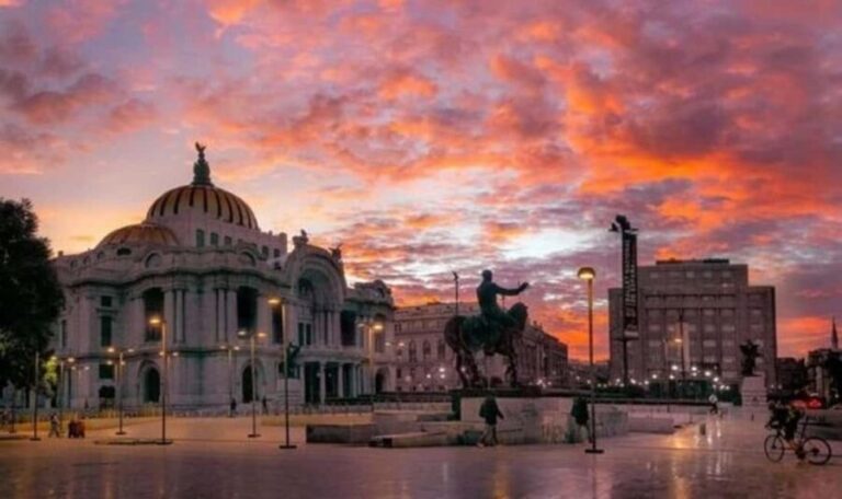 Mexico : Street Art Walking Tour With A Guide - Why This Tour Is Worth It