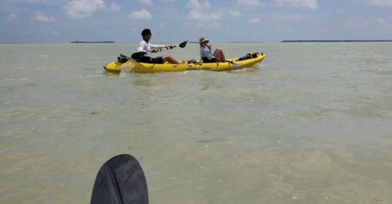 Miami: Everglades National Park Hiking and Kayaking Day Trip - The Experience of Authentic Wildlife Encounters