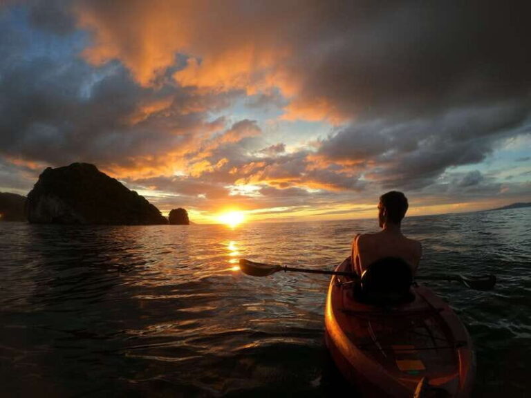 Mismaloya: Los Arcos Bioluminescent Waters Kayak & Cave Tour - Authentic Insights from the Reviews