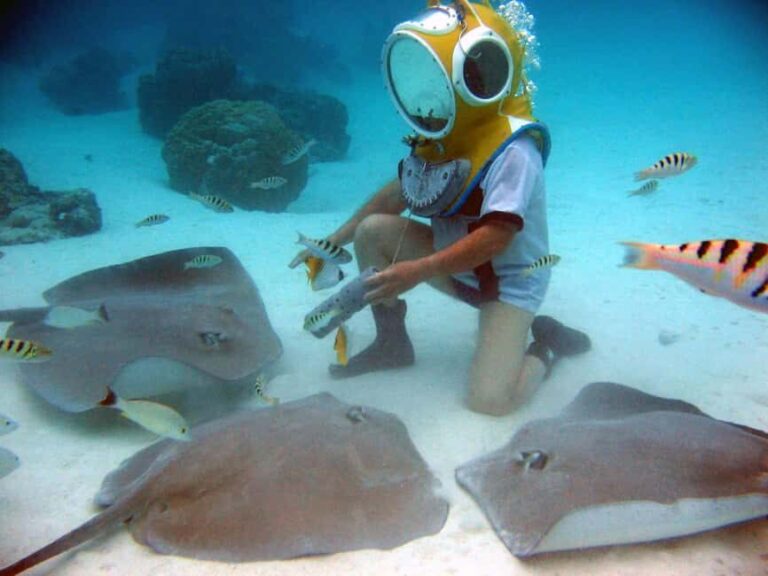 Moorea: Aquablue Helmet Underwater Walking Experience - Duration, Cost, and Value