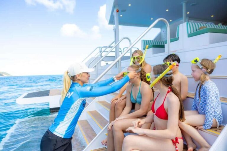 Moreton Island: Premium Tangalooma Snorkel & Dolphin Tour - Snorkeling the Tangalooma Wrecks: An Underwater Wonderland