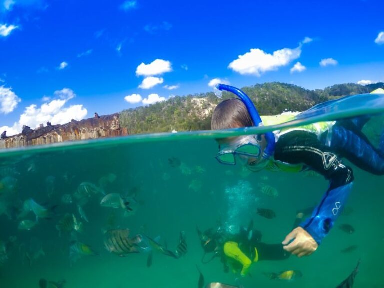 Moreton Island: Tangalooma Day Trip with Snorkeling Tour - The Itinerary Breakdown: What Makes Each Part Special