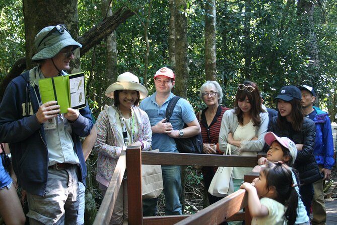 Natural Bridge Glow Worm Night Tour from Gold Coast - What You Can Expect from the Tour