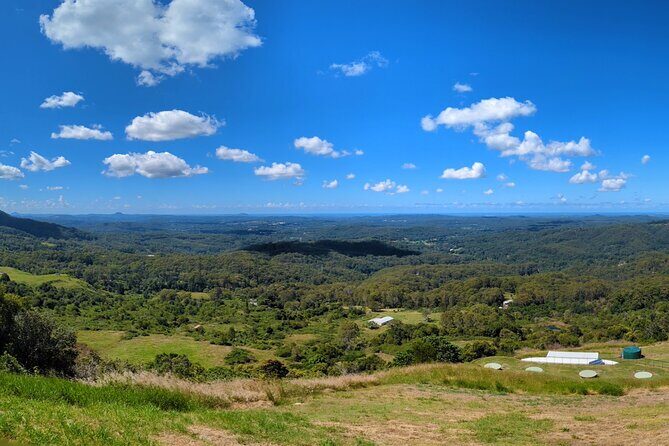 Noosa, Aussie Animals & Glass House Mountains from Brisbane - The Journey Through the Sunshine Coast: A Detailed Breakdown