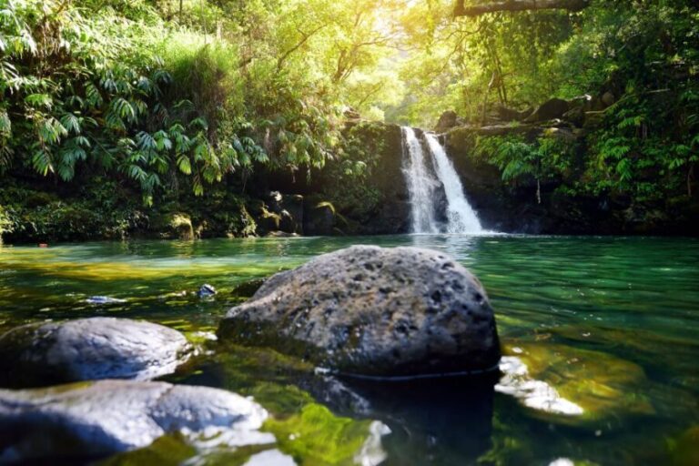 Northshore Maui: Guided Rainforest and Waterfall Walk - What’s Included and What to Bring