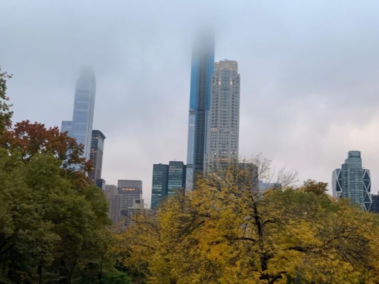 NYC: Empire State Horses Carriage Ride in Central Park - Pricing and Value