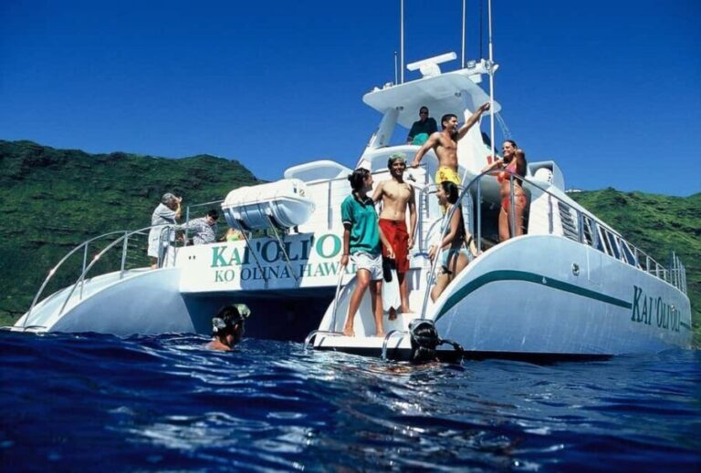 Oahu: 3 Zipline & All Inclusive Dolphin Watch Snorkel Cruise - Is It Worth the Price?